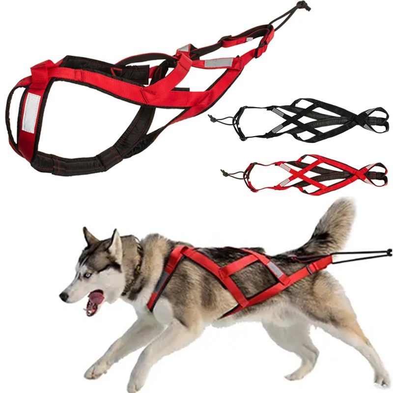 PetPacks musher harness sporthám, futóhám, húzóhám - Hámok - PetPacks